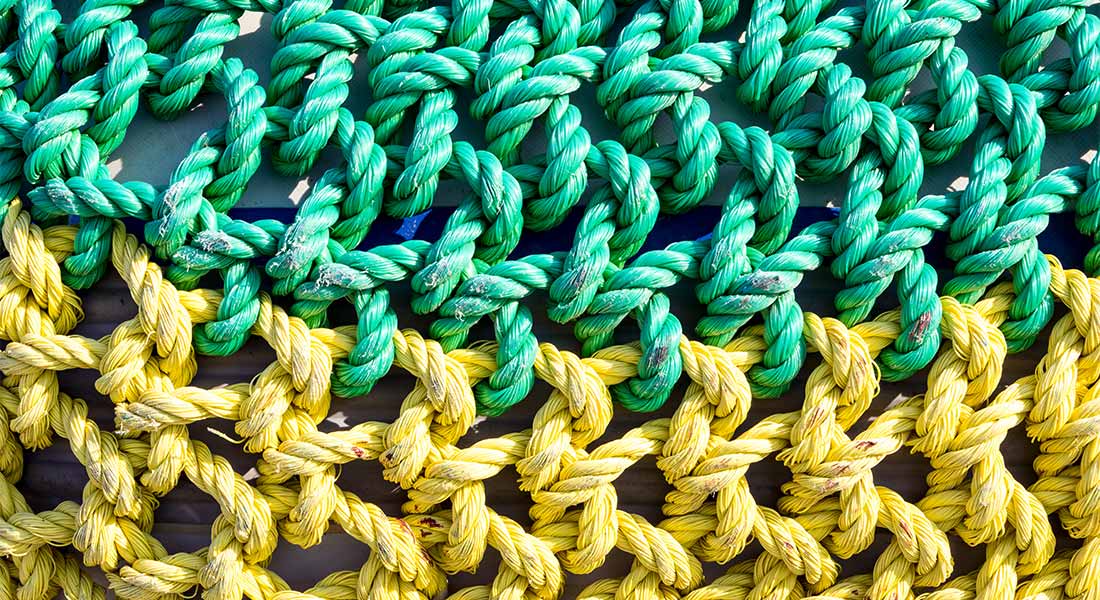 What Is EDI mapping? A Beginner’s Guide | Orderful